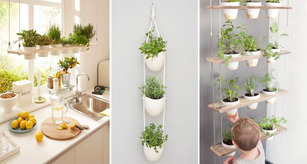 Passo-a-passo para você montar e manter uma horta em casa com sucesso