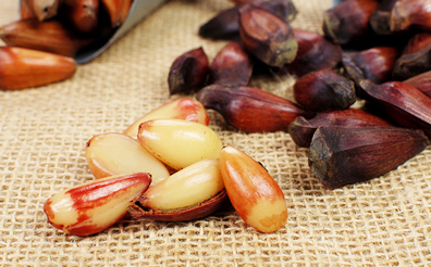 9 receitas com pinhão deliciosas e diferentes que vão ganhar seu coração